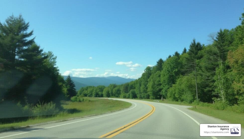 Are You Required to Have Auto Insurance in New Hampshire? 5 Best Insights